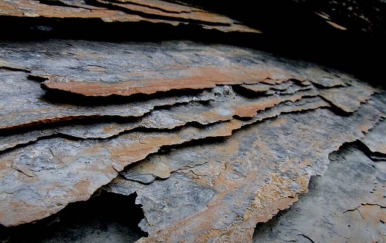 8 Types of Backfill Materials for Construction Projects - US Road ...